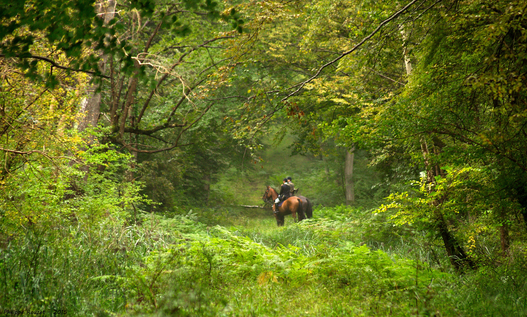Vénerie photo et image | paysages, paysages de campagne, nature Images ...