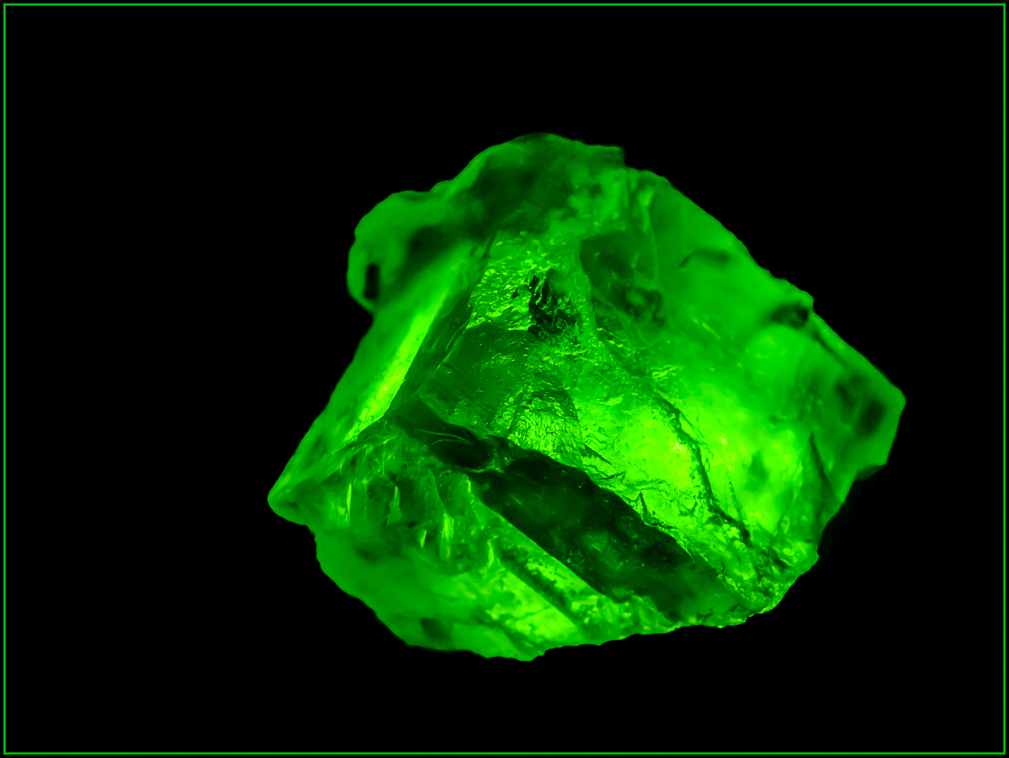 Venom Green... Foto & Bild | nahaufnahme, stillleben, tabletop Bilder ...