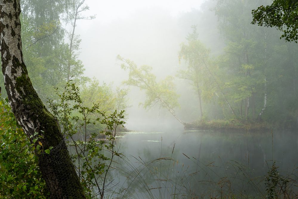verborgene Inseln Foto & Bild | landschaft, jahreszeiten, herbst Bilder auf fotocommunity