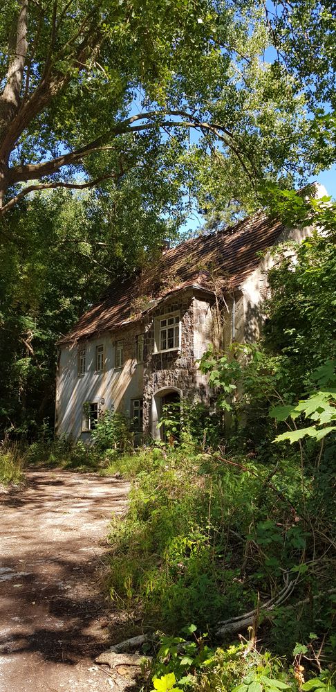 "Verbotene Halbinsel Wustrow" Foto & Bild | ostsee, natur, landschaft ...