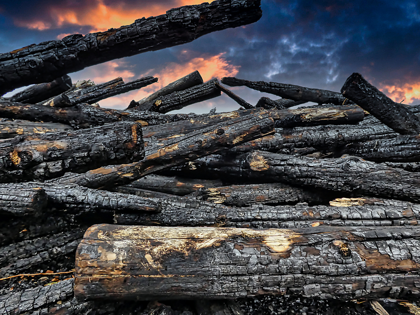 Verbrannt Foto & Bild | industrie und technik, pflanzen, pilze ...