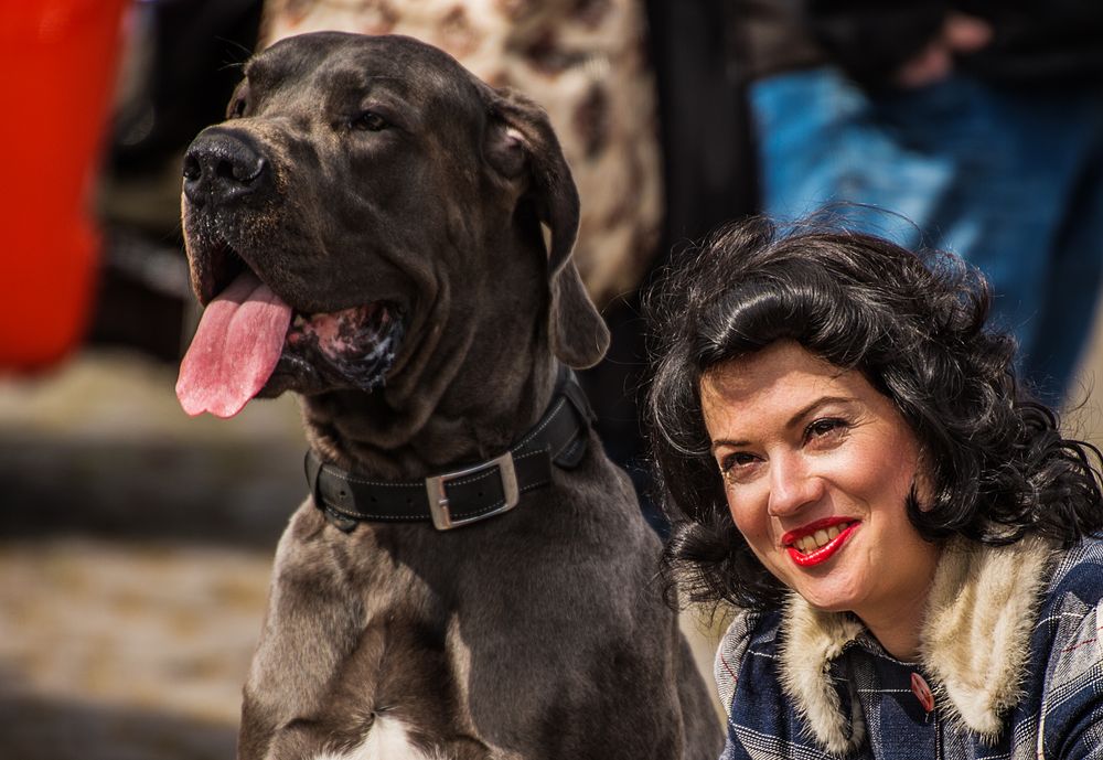 Verdammt groß der Hund ... Foto & Bild | streetfotografie mit menschen, street: spontane ...