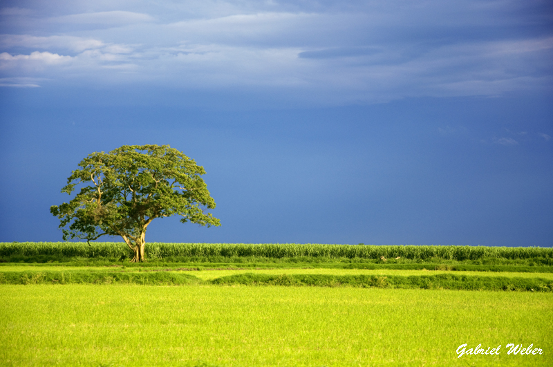 Verde Esperanza Imagen & Foto | paisajes, naturaleza Fotos de fotocommunity