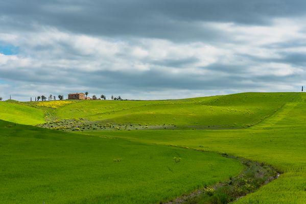 Campagna Immagini e foto