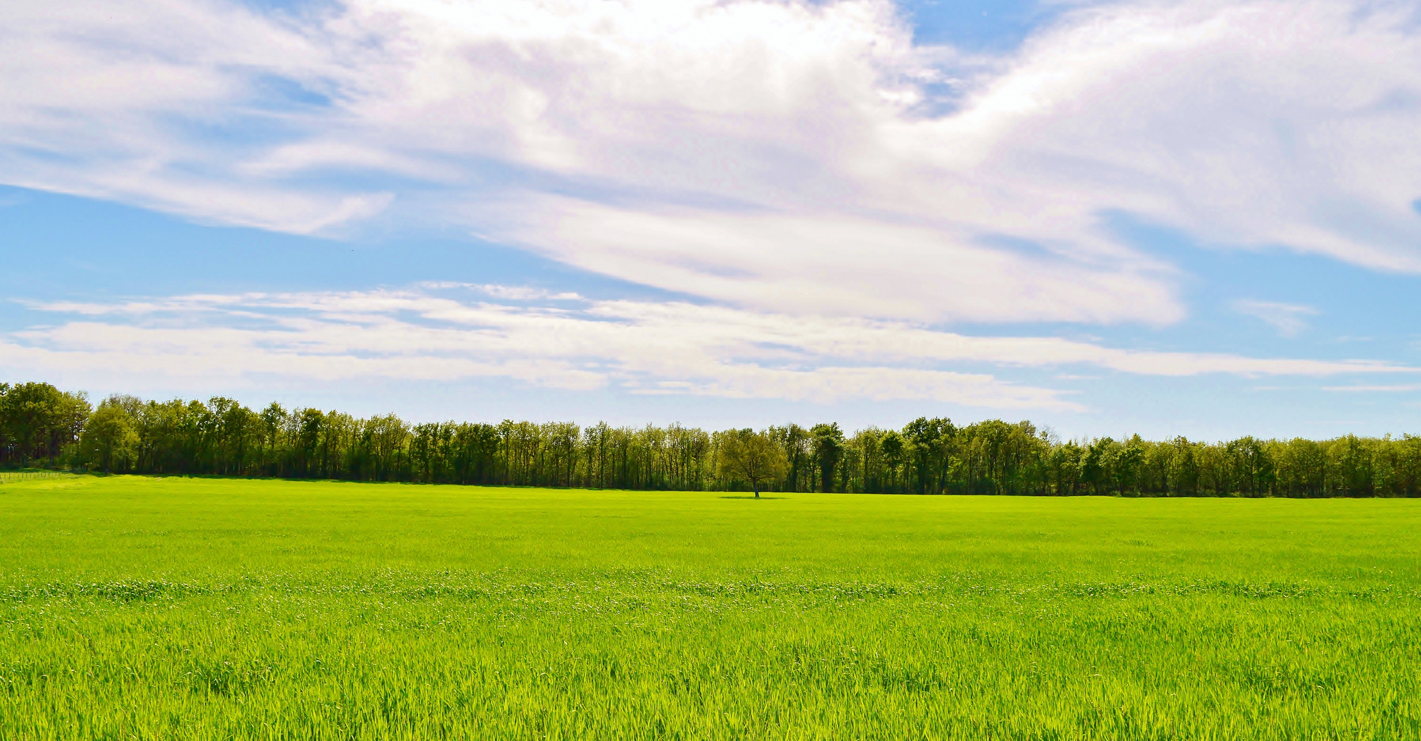 verdure photo et image | nature, campagne, paysages Images fotocommunity