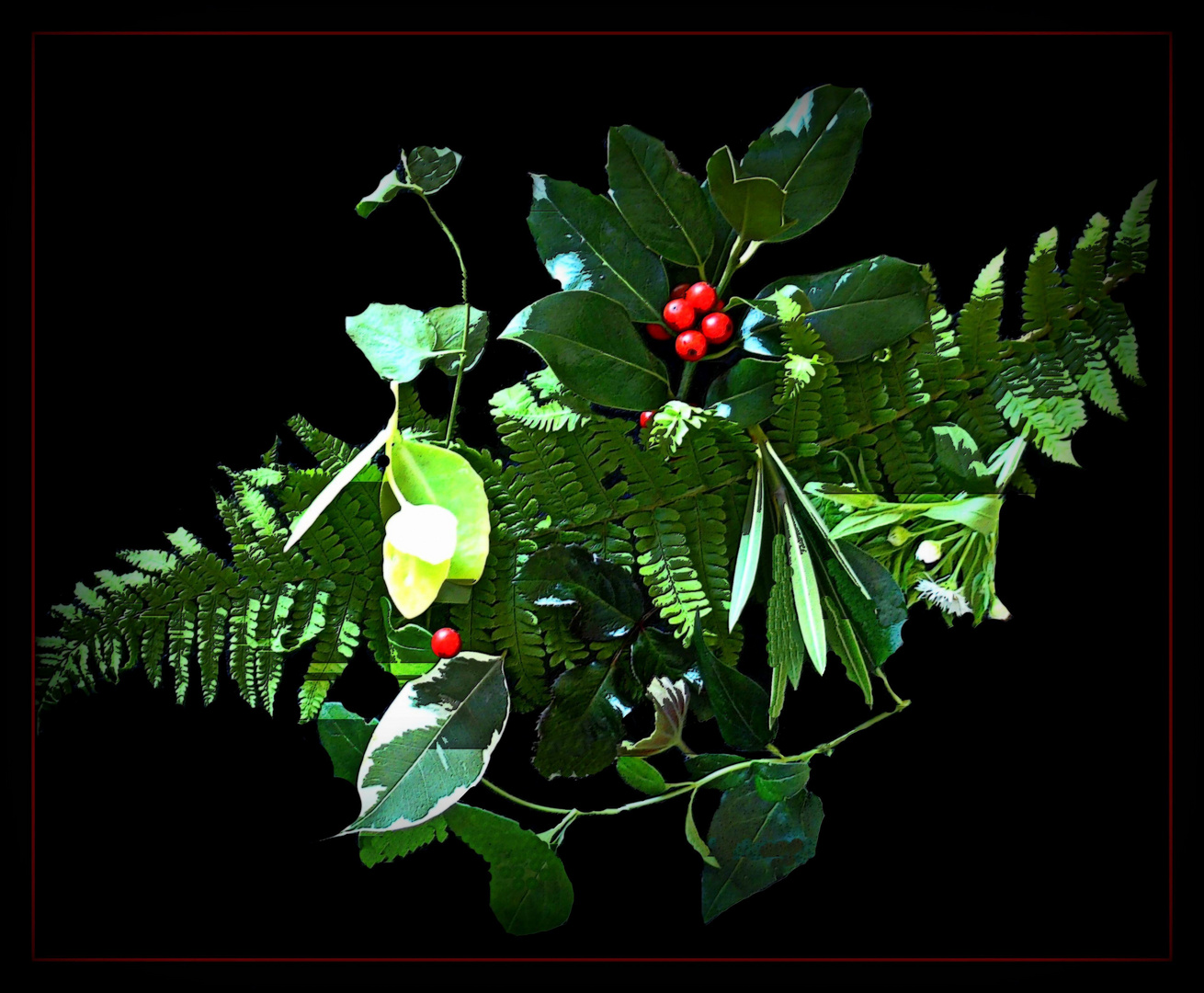 Verdure du jardin... photo et image | divers, la nature simplement ...