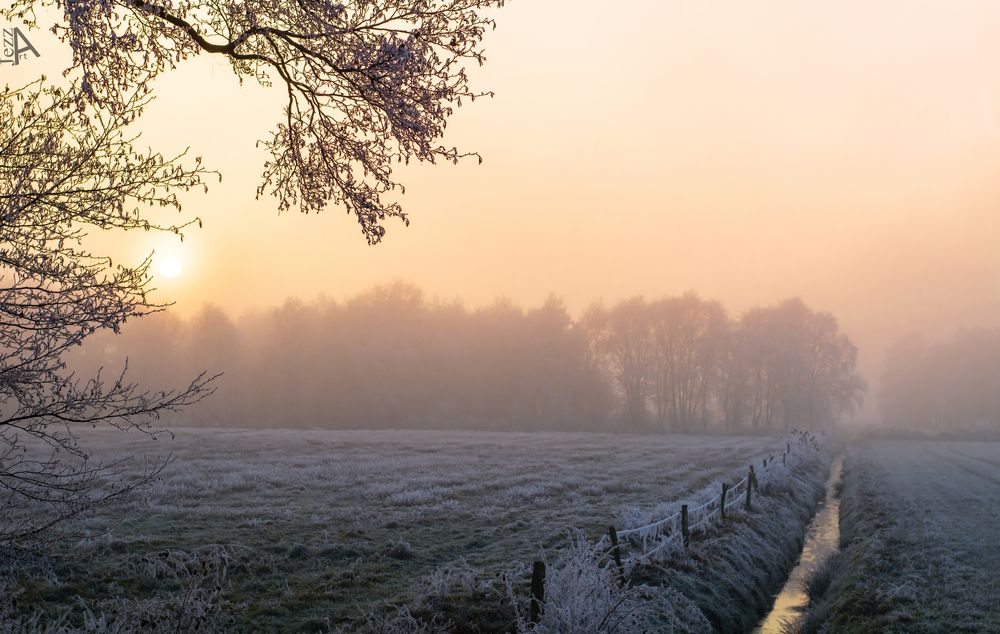 Vereiste Landschaft im Nebel. Foto & Bild | snow, water, gefroren Bilder auf fotocommunity