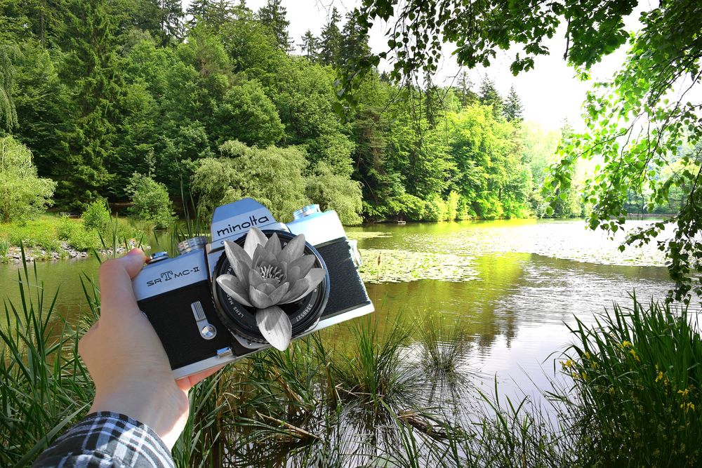 Vergänglichkeit der Technik Foto & Bild | fotomontage, composing , art Bilder auf fotocommunity