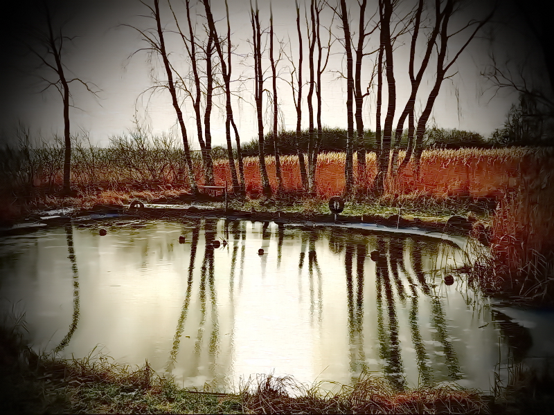 Verlassen... Foto & Bild | natur, motive Bilder auf fotocommunity