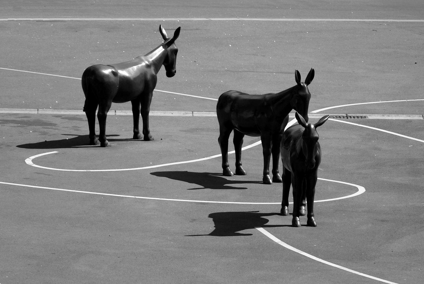 Verlaufen Foto & Bild | kunstfotografie & kultur, projekte, gemälde ...