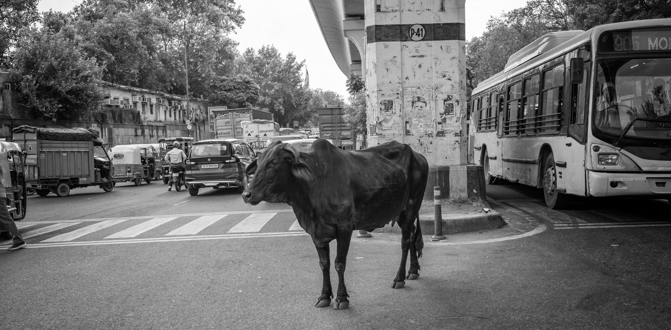 Verlaufen Foto & Bild | street, world, natur Bilder auf fotocommunity