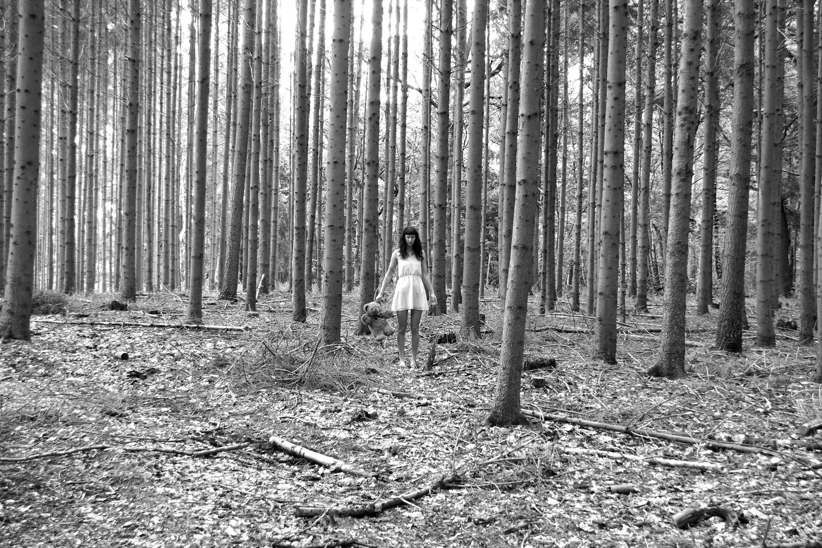 verlaufen Foto & Bild | spezial, wald, natur Bilder auf fotocommunity