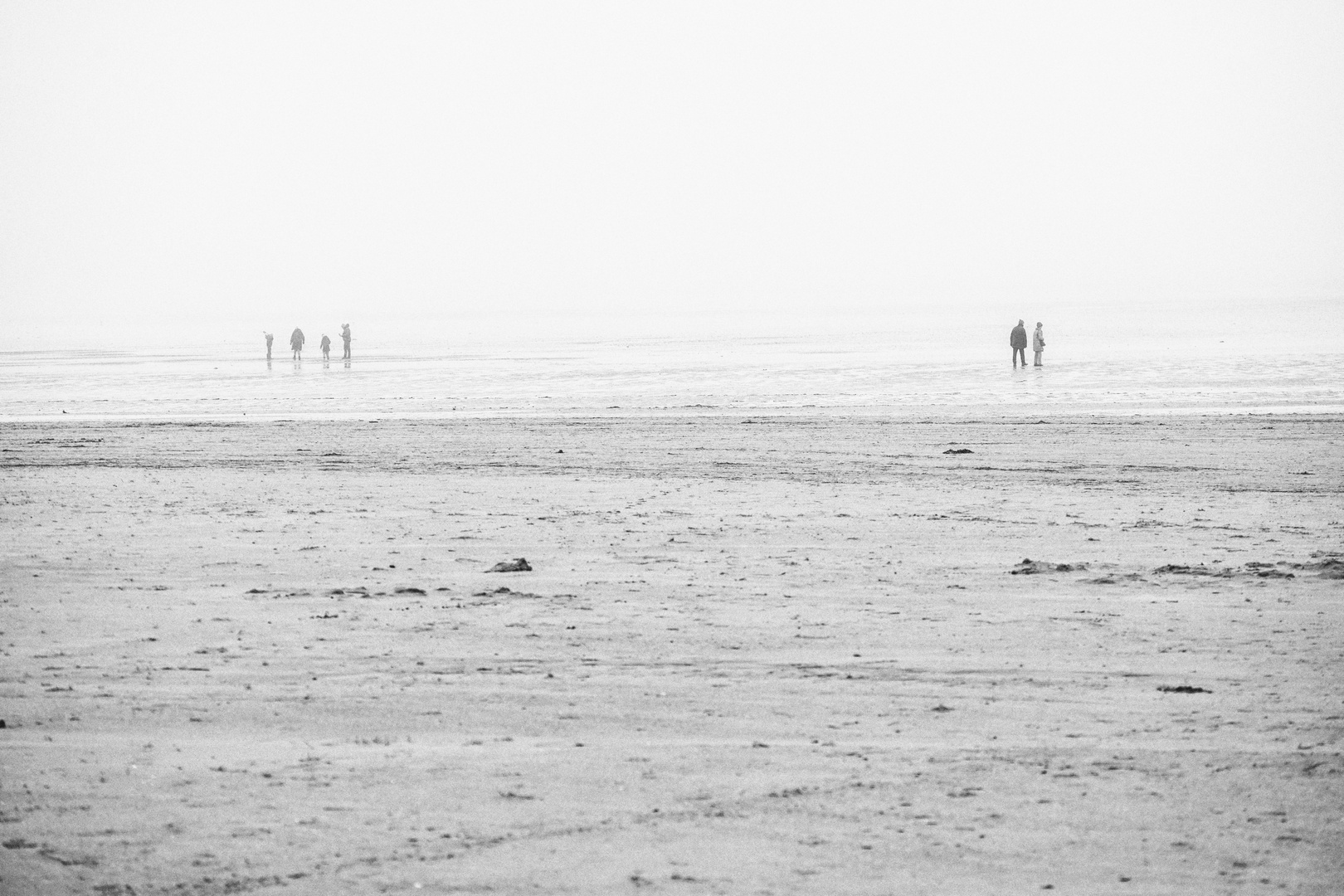 verloren im Watt Foto & Bild | landschaft, meer & strand ...