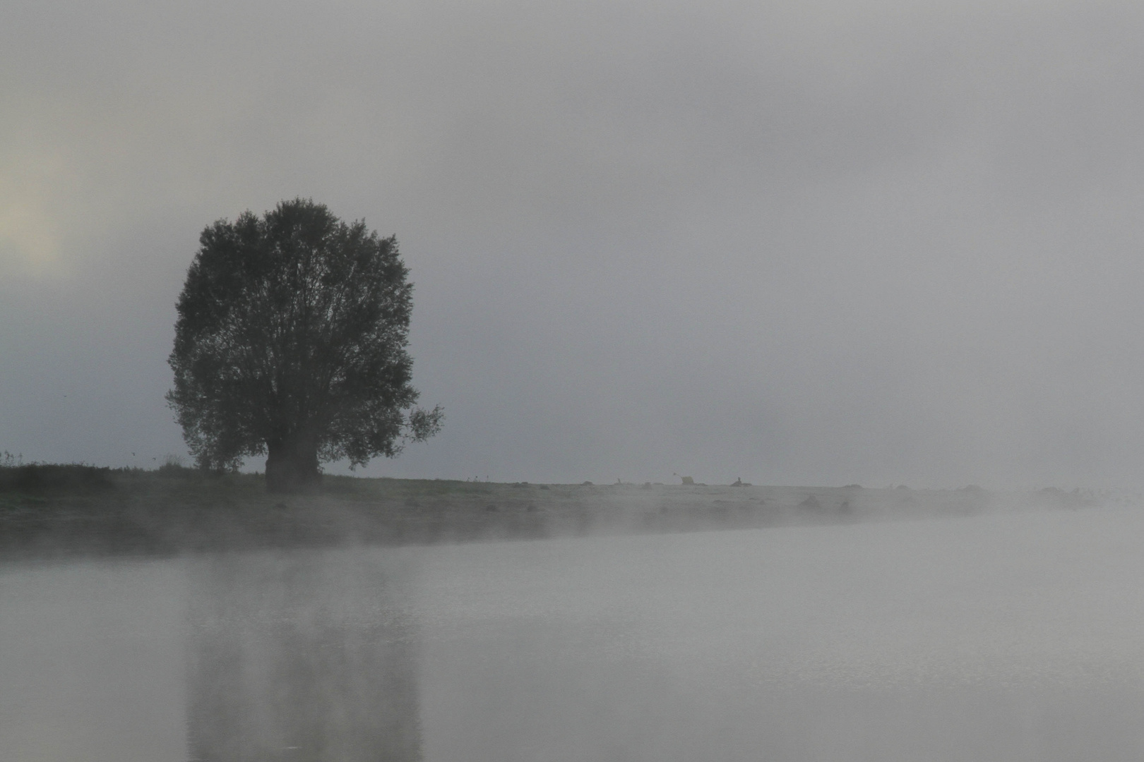 vers le néant photo et image | arbres, nature Images fotocommunity vers le néant photo et image | arbres, nature Images fotocommunity