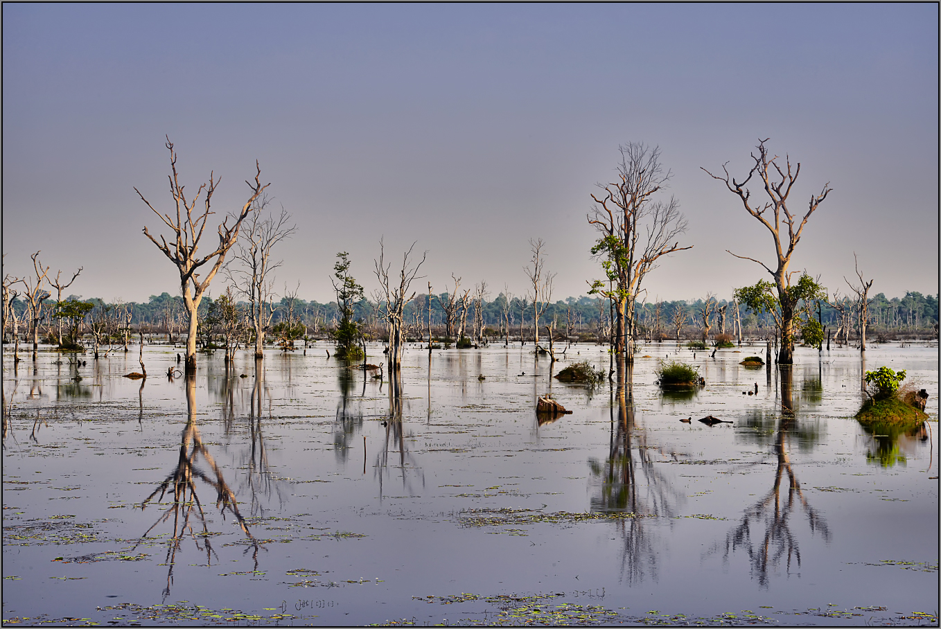 Verschluckt Foto & Bild | asia, cambodia, landschaft Bilder auf ...