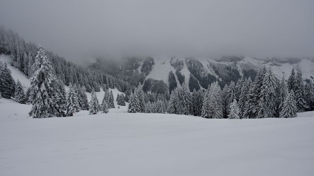 Verschneit Foto & Bild | landschaft, jahreszeiten, winter Bilder auf fotocommunity