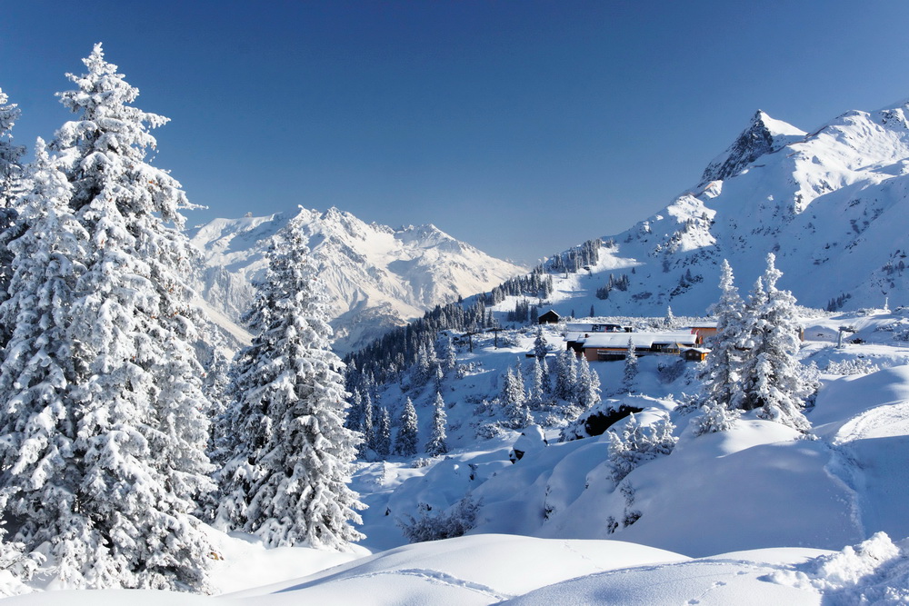 Verschneite Tannen Foto & Bild | jahreszeiten, winter, schnee Bilder ...