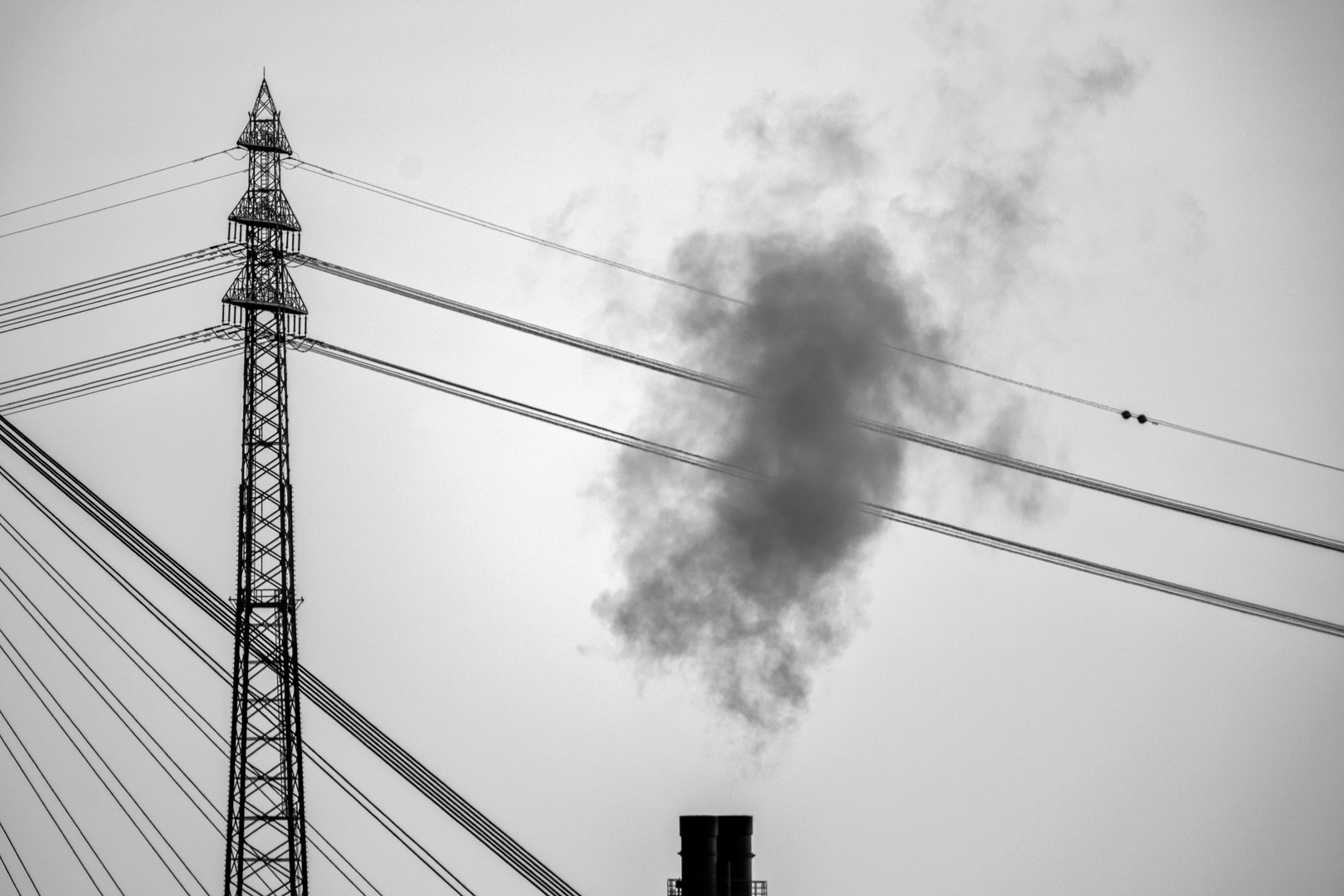 Versorgen .. .. .. Foto & Bild | Bilder auf fotocommunity