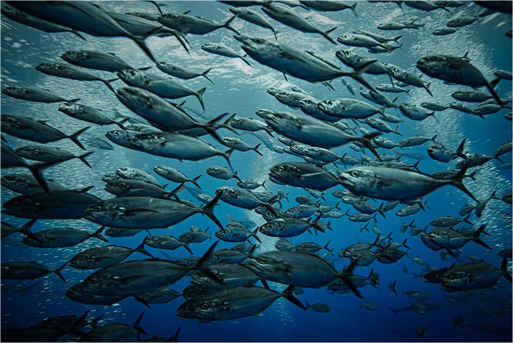 Vertigo Foto & Bild | world, wasser, sea Bilder auf fotocommunity