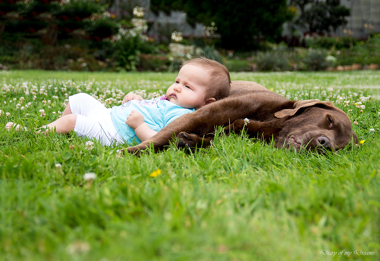 Vertrauen Foto & Bild | kinder, babies, kids Bilder auf fotocommunity