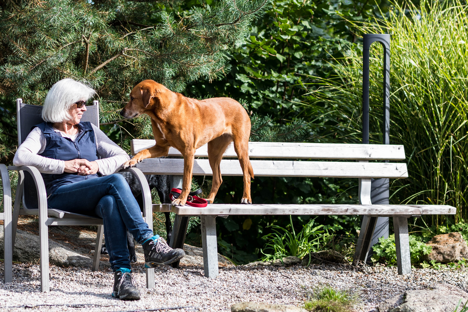 Vertrauen Foto & Bild | outdoor, hunde, natur Bilder auf fotocommunity