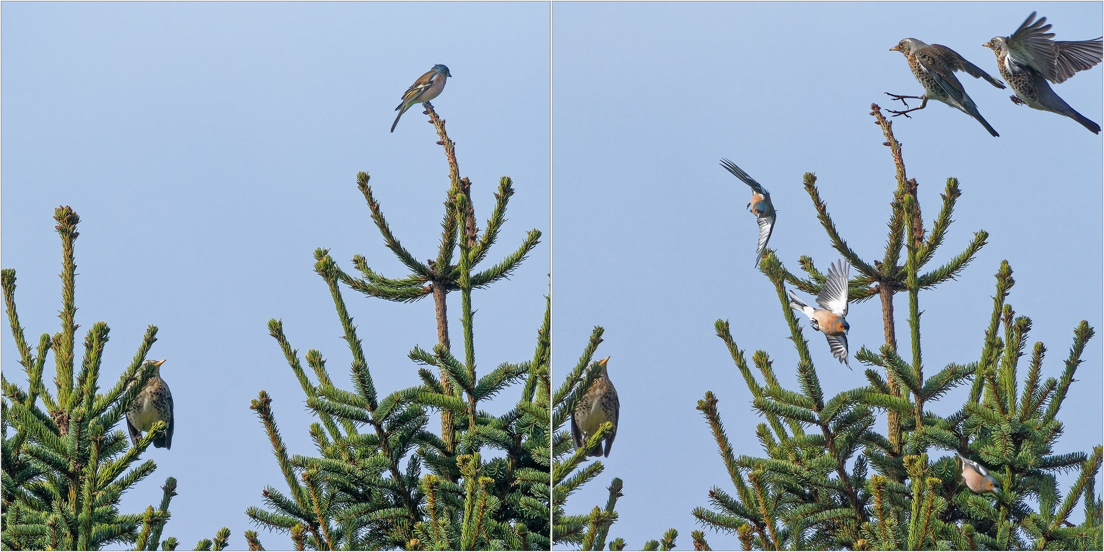 Vertreibung aus dem Paradies Foto & Bild | natur, composing, digiart Bilder auf fotocommunity
