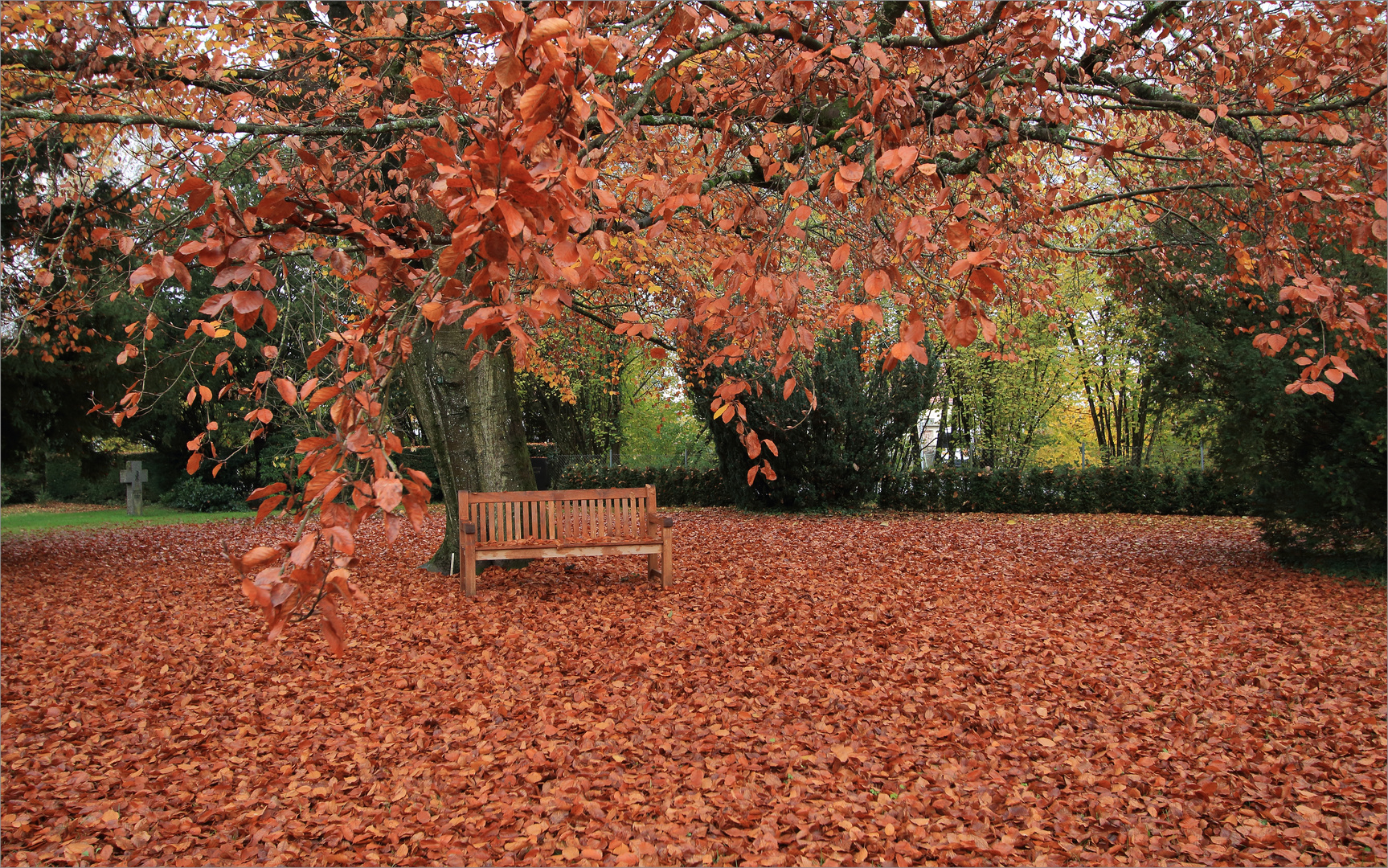 Verwaist Foto & Bild | natur, herbst Bilder auf fotocommunity