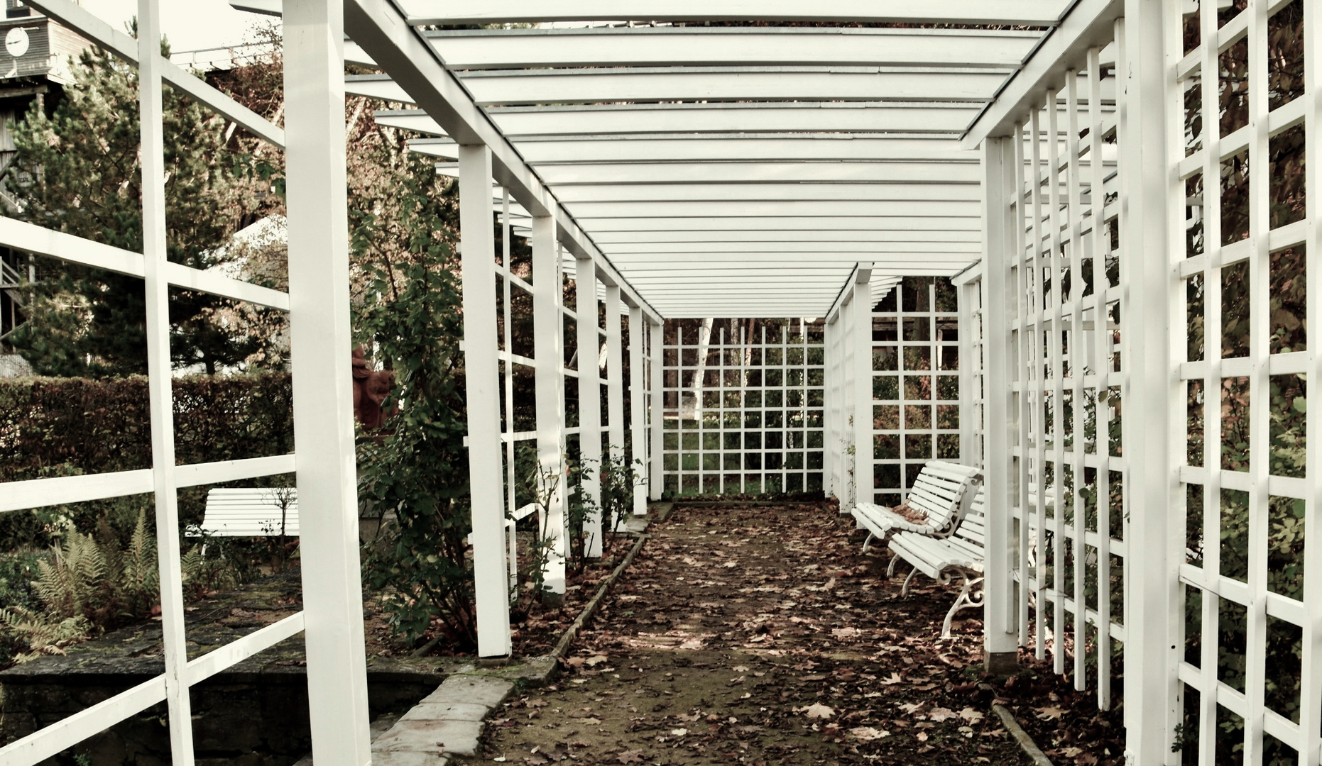 VERWAIST Foto & Bild | deutschland, europe, sachsen- anhalt Bilder auf ...