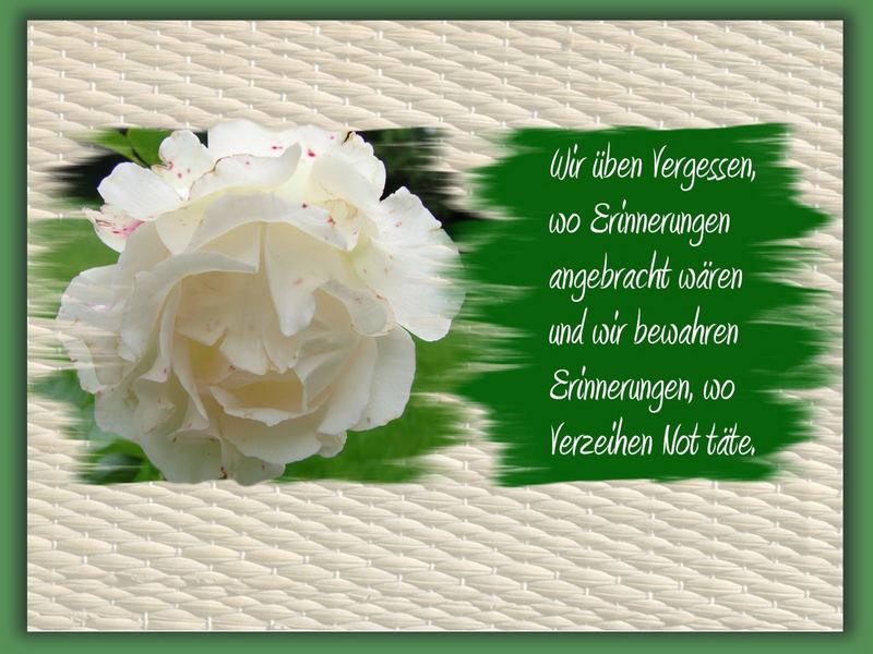 Verzeihen Foto & Bild | karten und kalender, fotokalender, karten 2006 ...