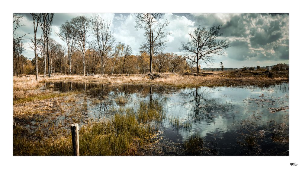 verzerrt Foto & Bild | landschaft, jahreszeiten, moor Bilder auf ...