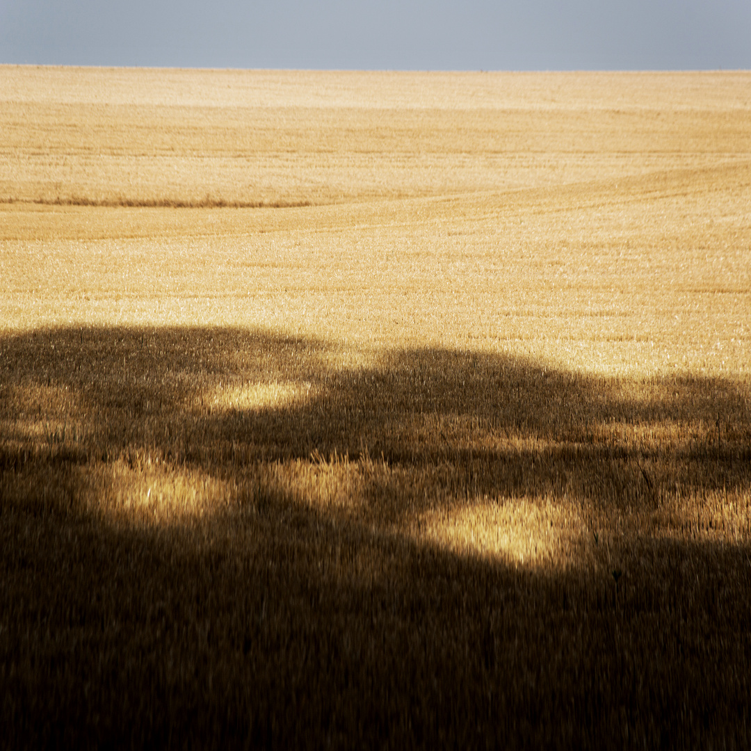 Vexin photo et image | paysages, nature, campagne Images fotocommunity