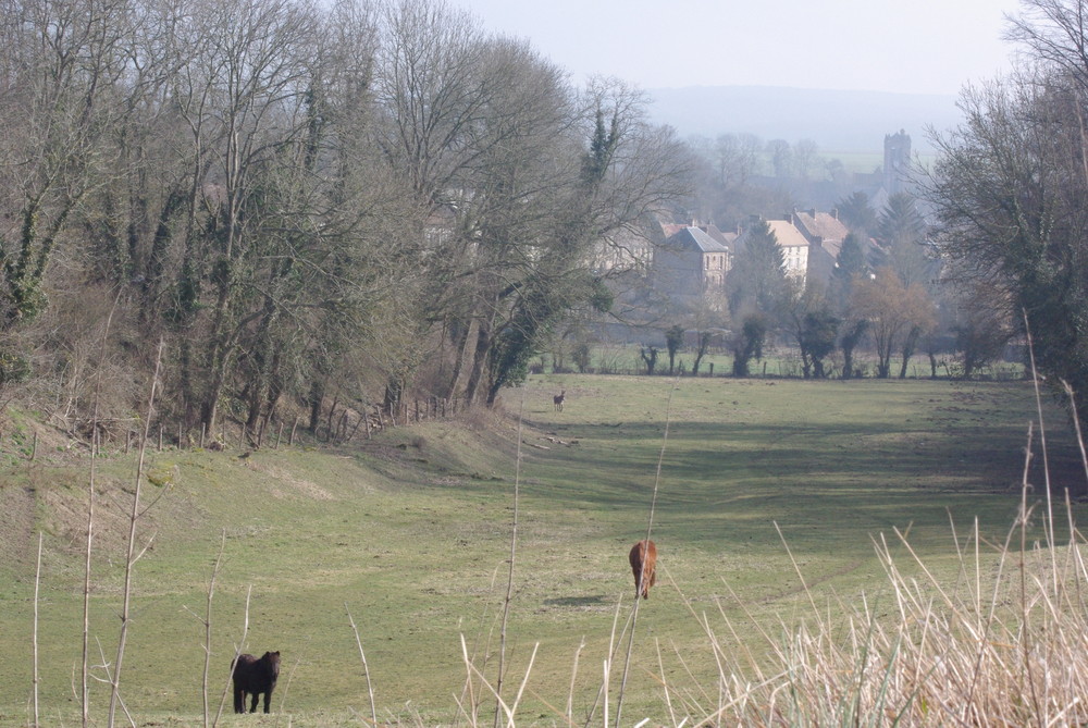 vexin français photo et image | paysages, paysages de campagne, nature ...