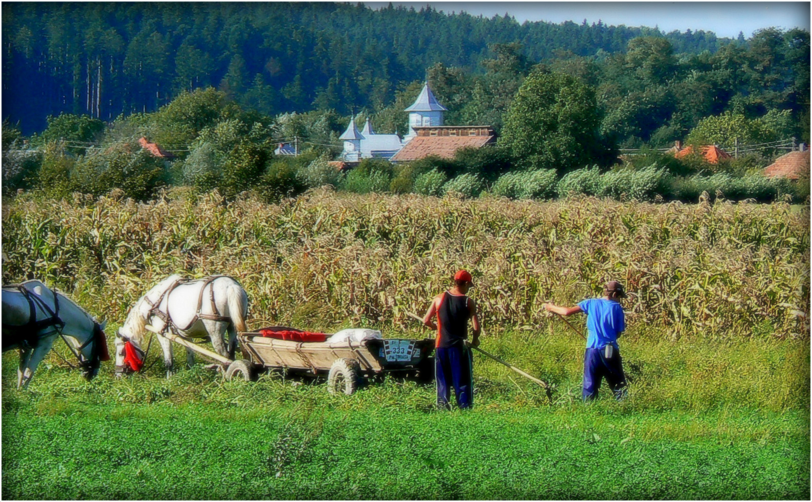 VIE - RURALE photo et image | campagne, paysage, special Images ...