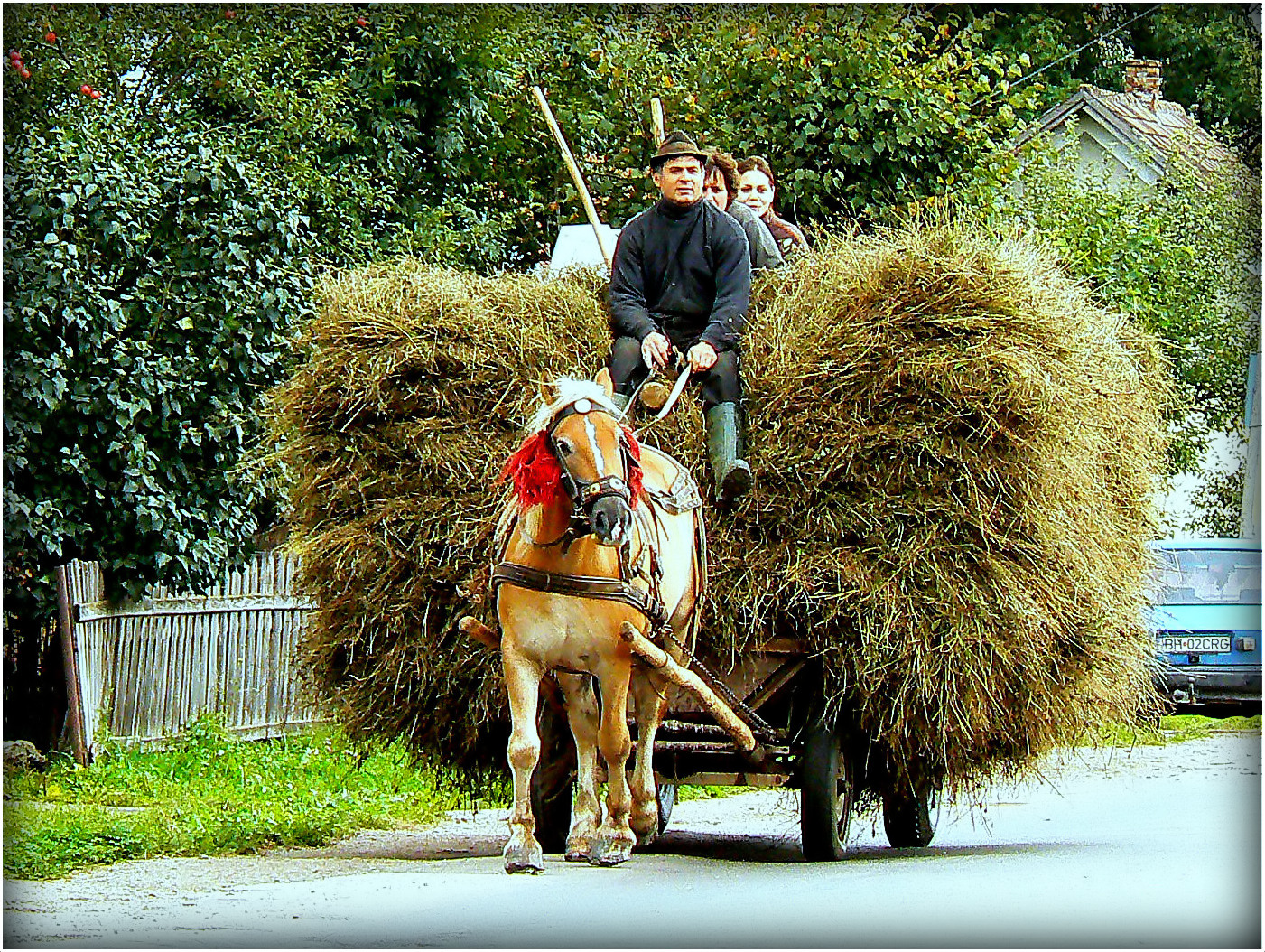 VIE - RURALE photo et image | animations photographiques, exercices ...