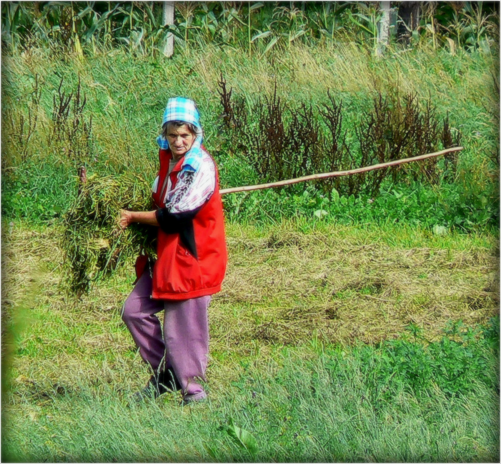 VIE RURALE photo et image | animations photographiques, exercices photo ...