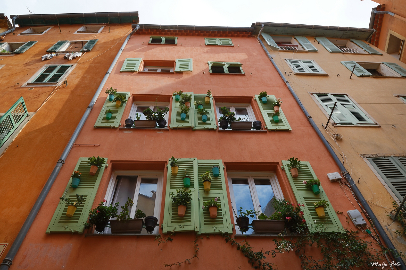 Viel Grünzeug / Beaucoup de verdure Foto & Bild | france, world ...