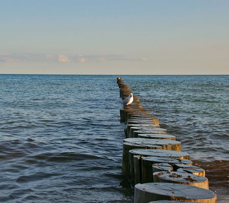 Meer & Strand Bilder & Fotos