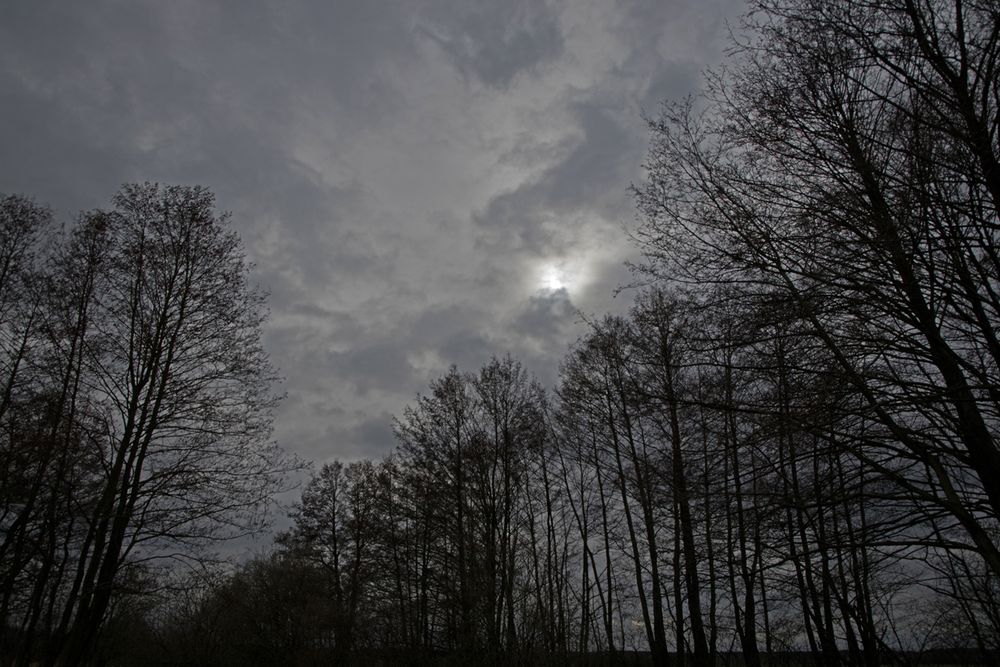 viel Regen und Wind Foto & Bild | jahreszeit, natur, jahreszeiten ... viel Regen und Wind Foto & Bild | jahreszeit, natur, jahreszeiten ...