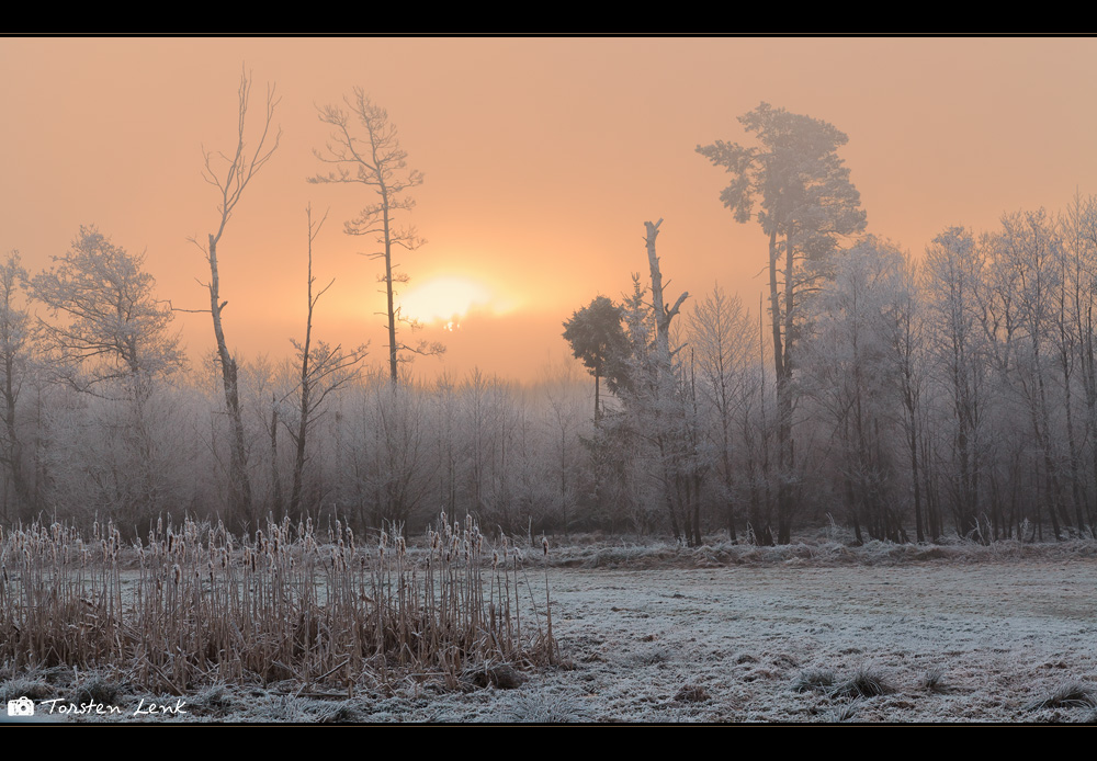 Vielleicht die letzten kalten Tage? Foto & Bild | jahreszeiten, winter ...
