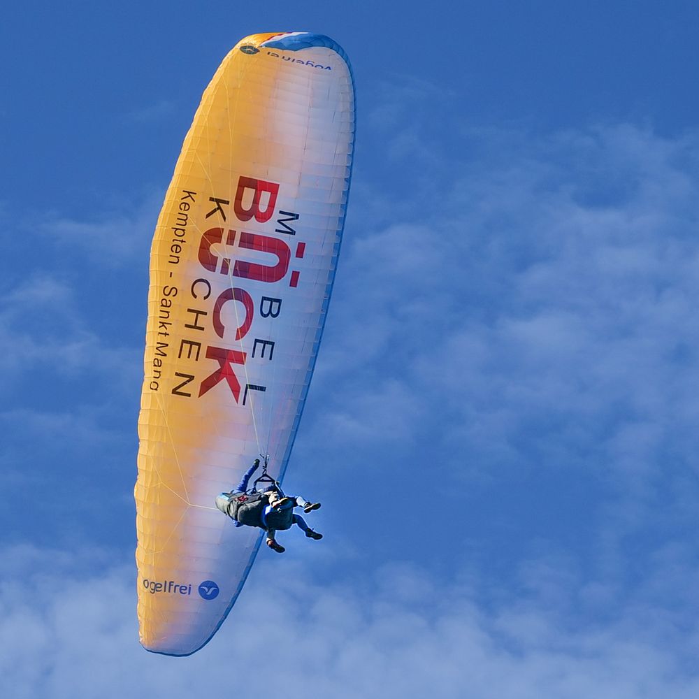 Vierfüßler Foto & Bild | sport, deutschland, europe Bilder auf fotocommunity