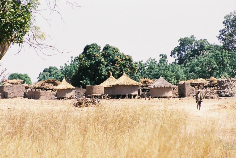 village malien photo et image | africa, western africa, mali Images ...