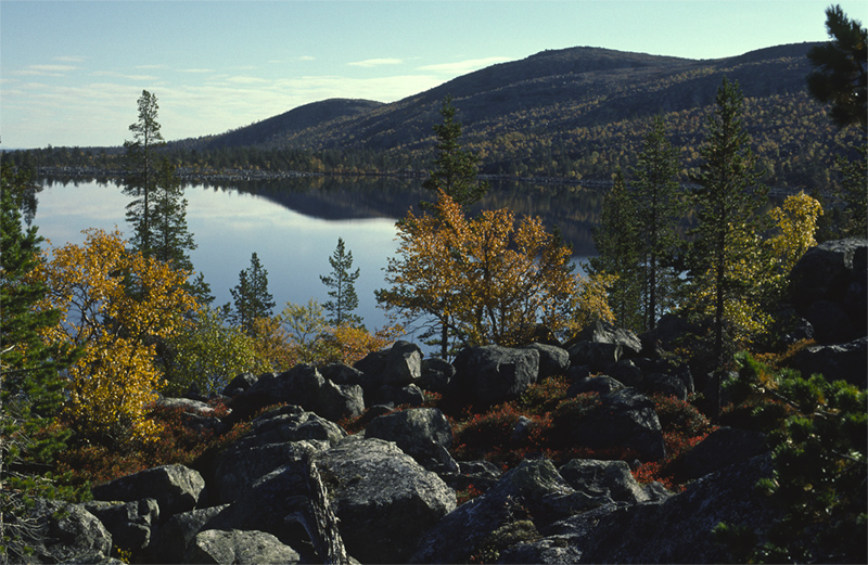 "Villmark" Foto & Bild | europe, scandinavia, norway Bilder auf ...