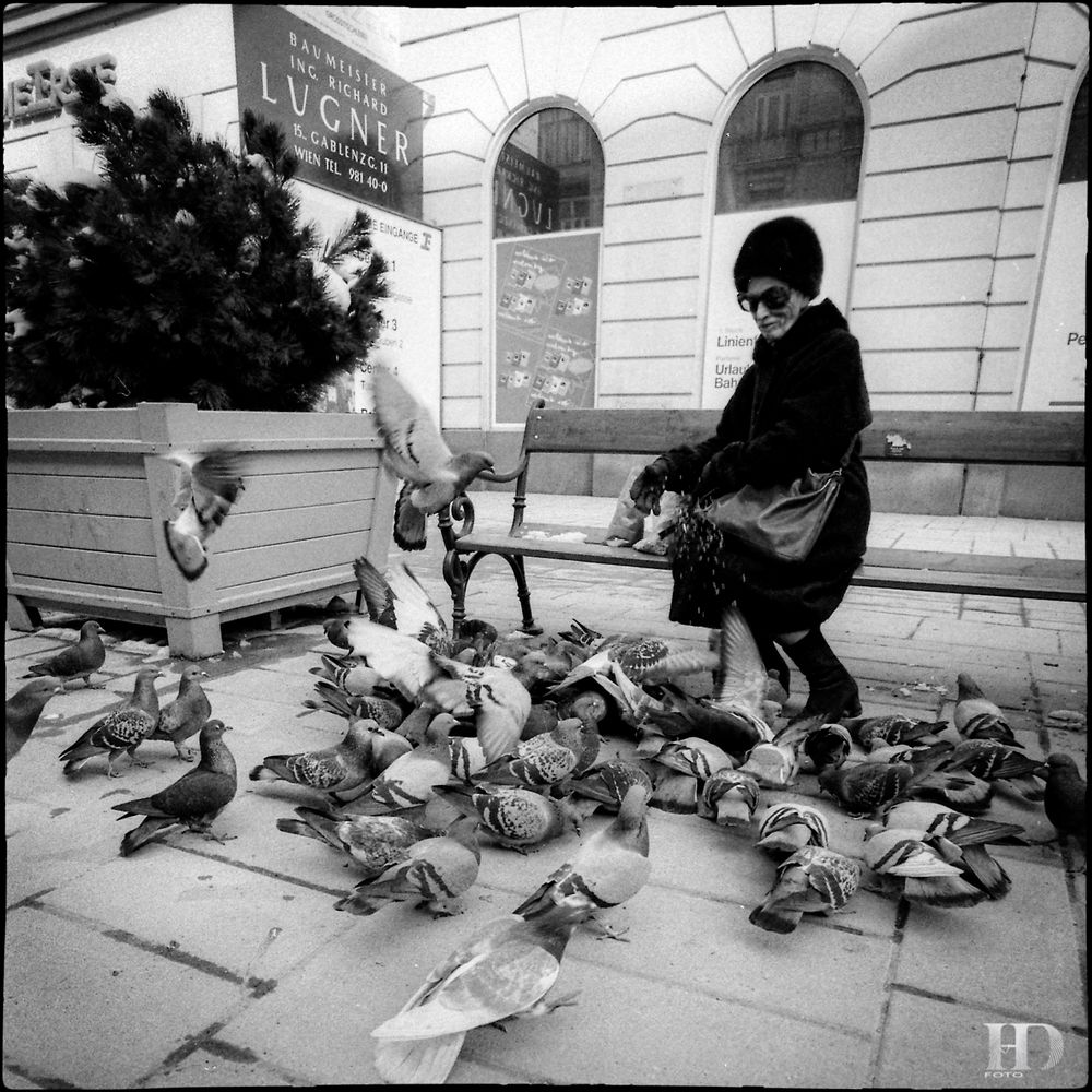 "Vintage" alte Frau beim Taubenfüttern Foto & Bild | streetfotografie mit menschen, techniken ...
