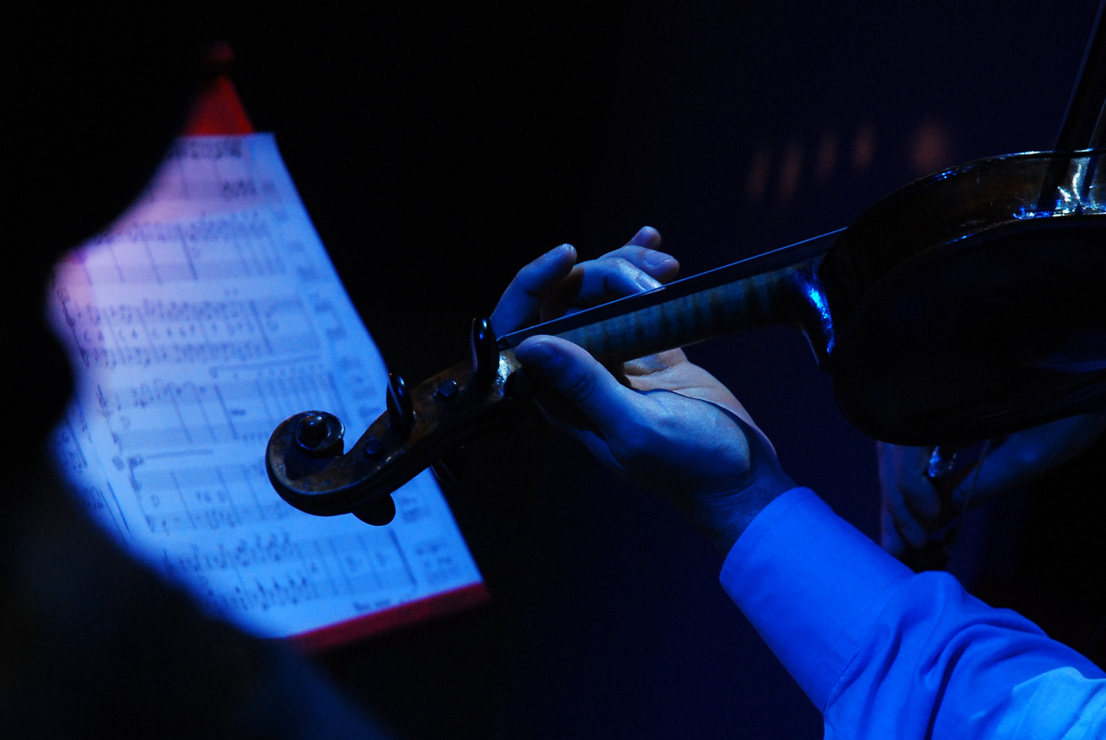 violino Foto % Immagini| fotografia e musica, temi Foto su fotocommunity