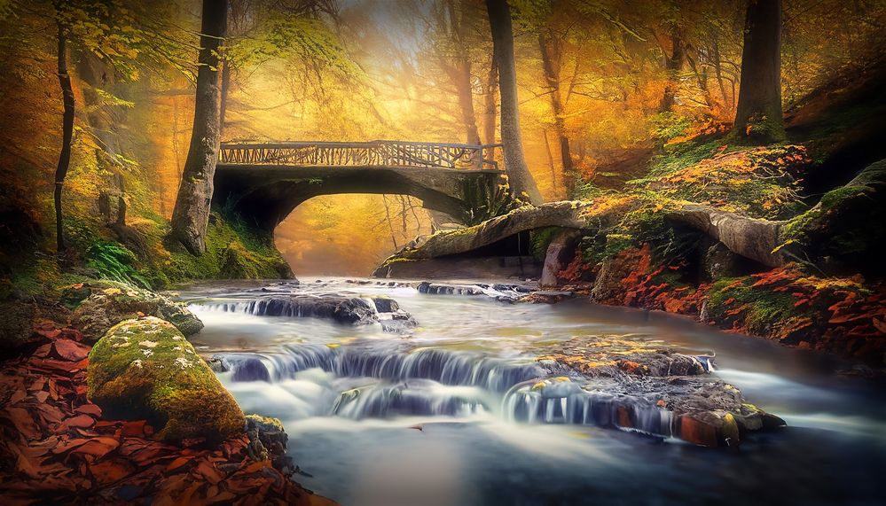 Vision vom leuchtenden Herbst - KI Foto & Bild | bearbeitungs - techniken, ki-generierte bilder ...