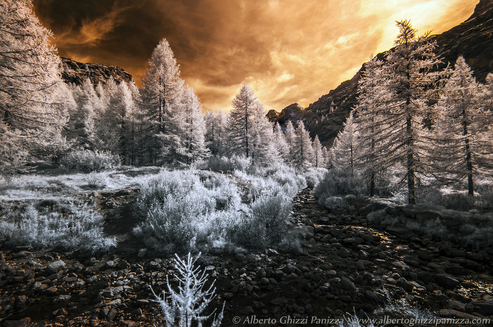 Visioni all'infrarosso Foto % Immagini| paesaggi, boschi e foreste ...