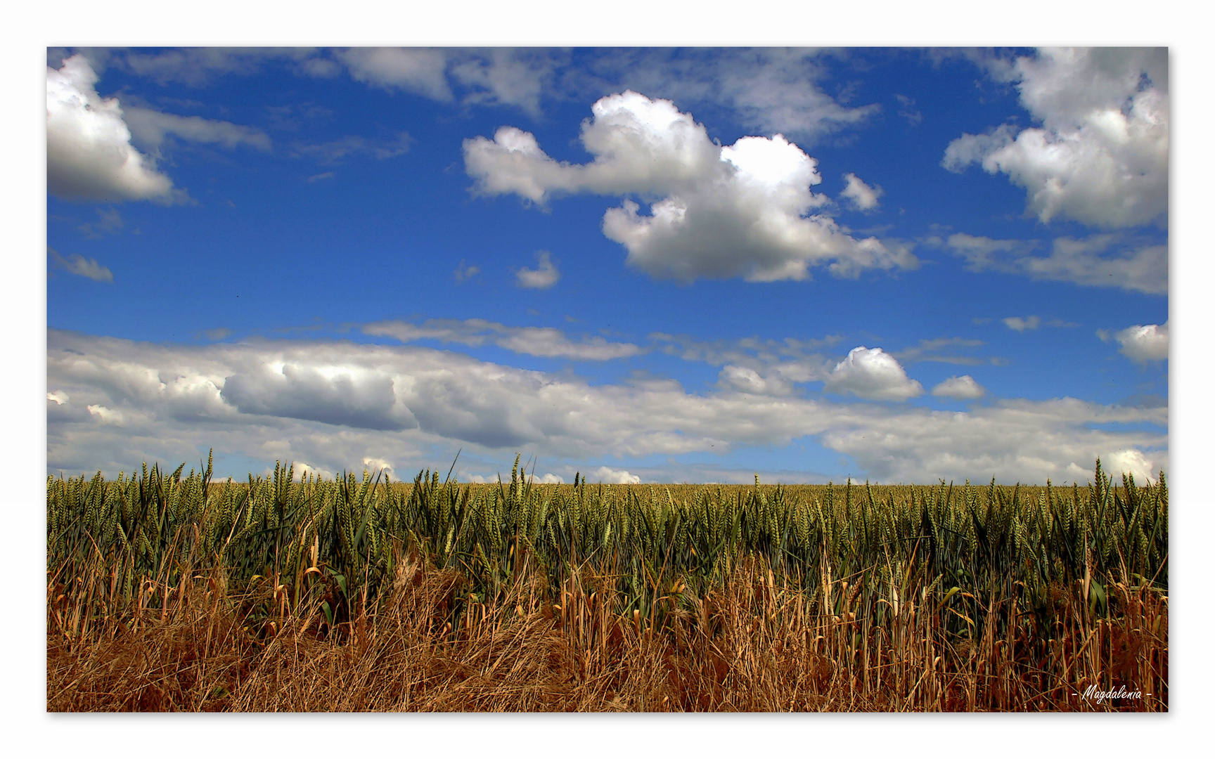 Vive le beau temps ! photo et image | paysages, paysages de campagne ...
