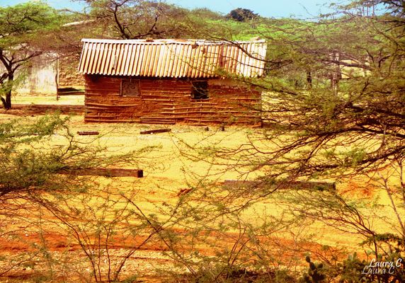 Arquitectura Imágenes y fotos