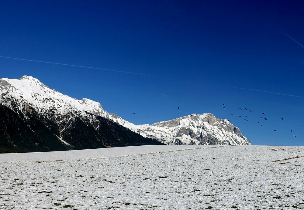 Vögel ins Bild geflogen Foto & Bild | landschaft, berge, naturaufnahmen ...