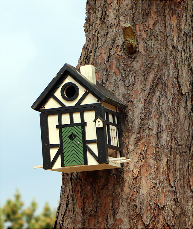 Vogelhäuschen Foto & Bild | schweden, natur, landschaft Bilder auf ...